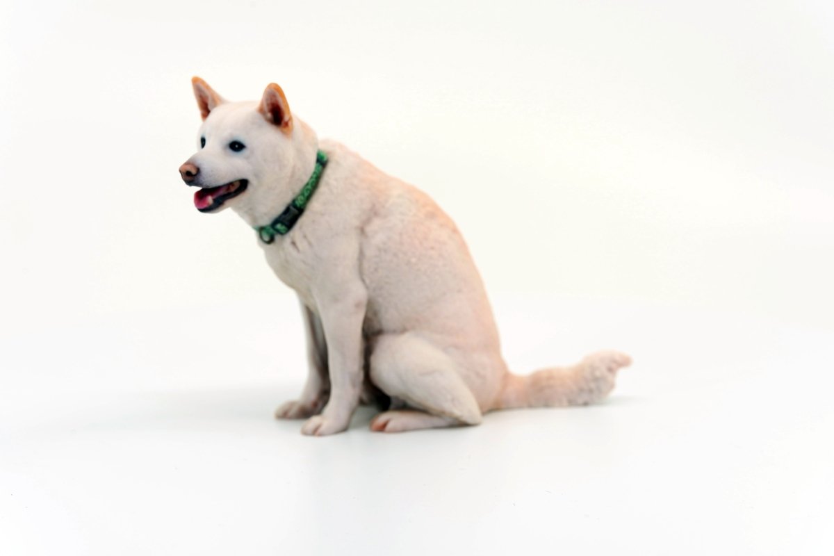 PINSTUDIO Pet & Photo | ペットの3Dスキャンフィギュアとセルフ写真撮影スタジオ