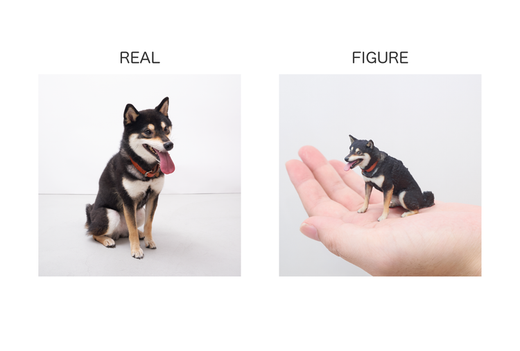 Pet & 3D ペットの3Dスキャン (東中野) – PINSTUDIO Pet & Photo