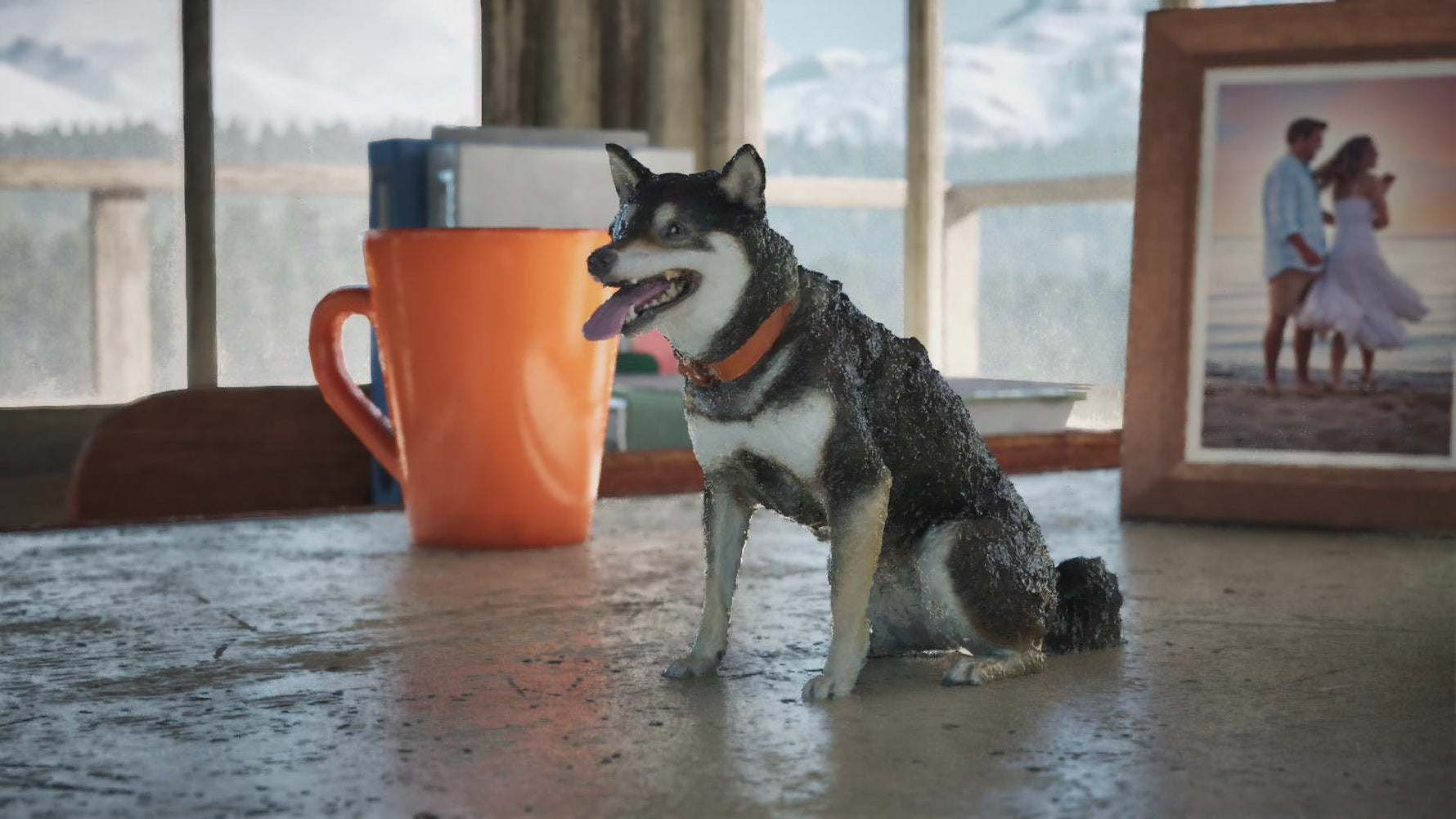 Pet & 3D ペットの3Dスキャン (東中野) – PINSTUDIO Pet & Photo