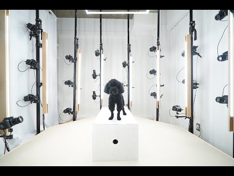 Pet & 3D | ペットの3Dフィギュア/3Dスキャン (東京都中野区) – PINSTUDIO Pet & Photo